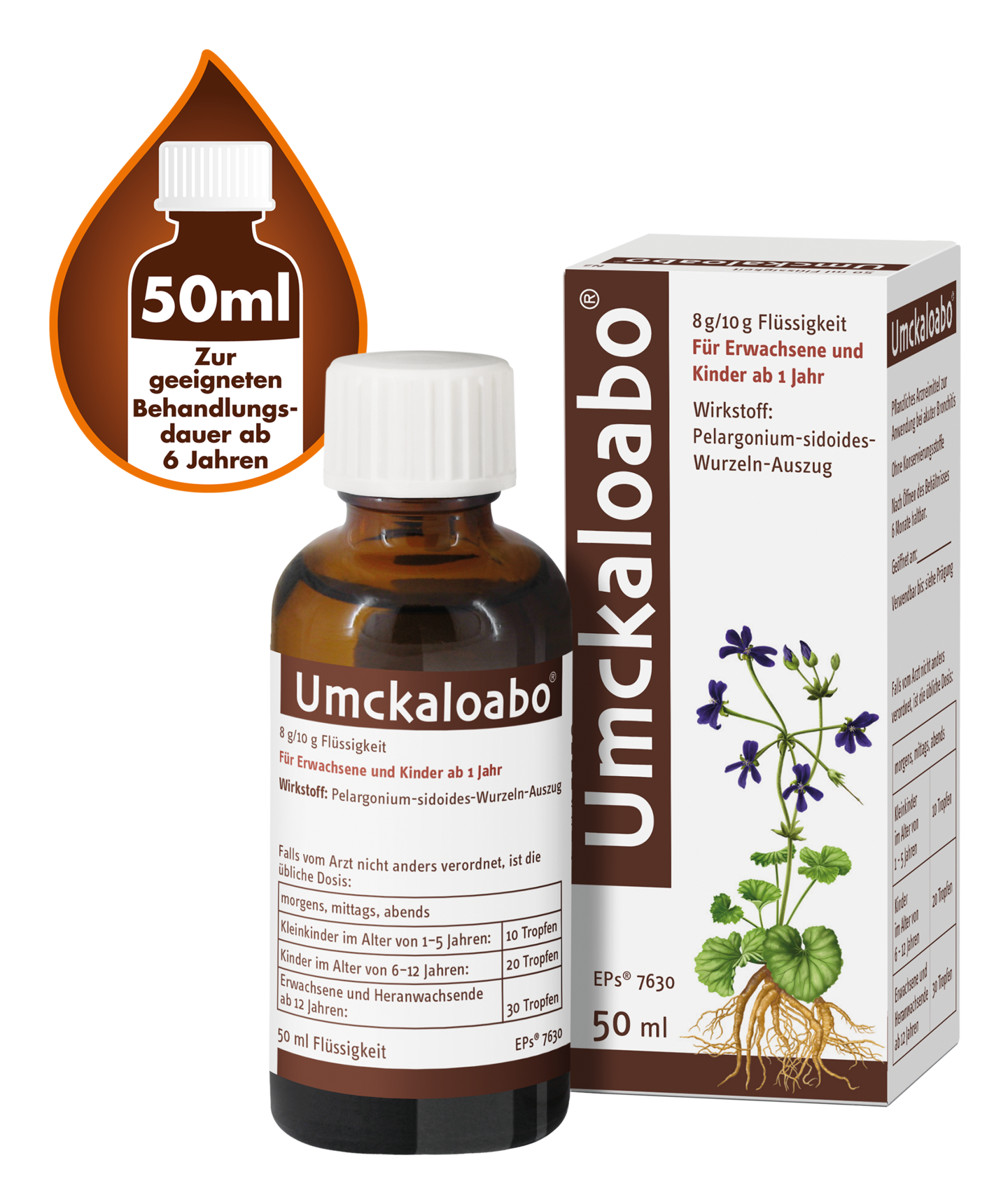 Umckaloabo® packt den Infekt mit der Wurzel